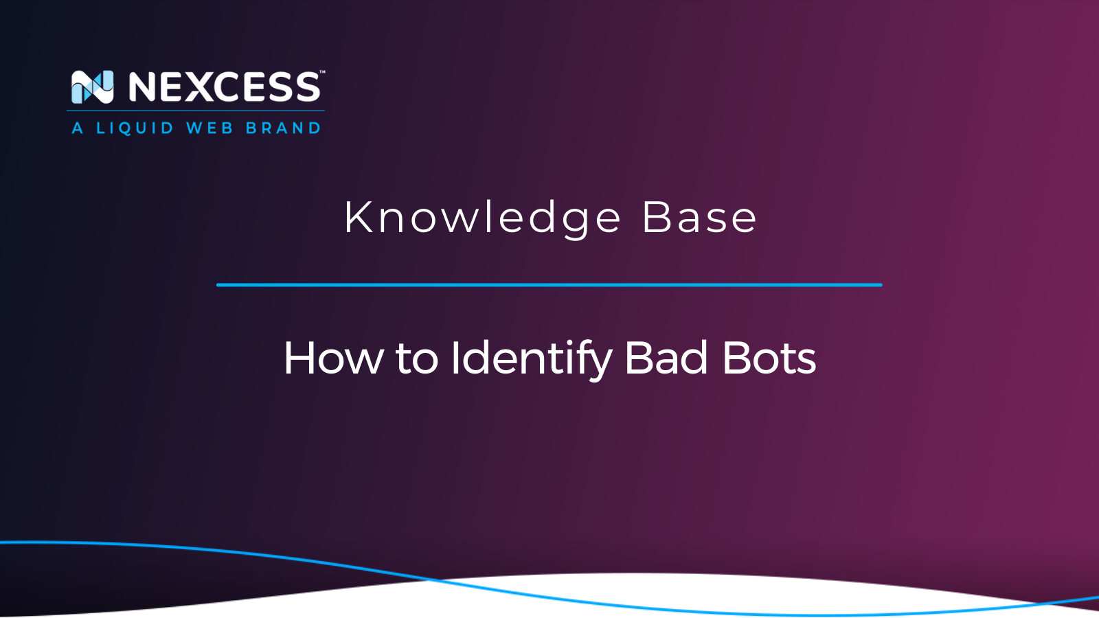 How to Identify Bad Bots | Liquid Web